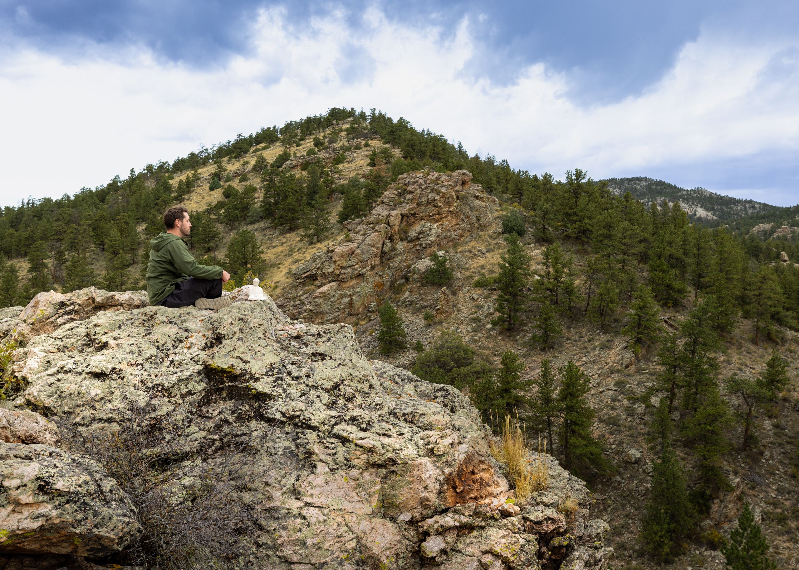 [RC426] Regenerations: Cultivating Connections to Earth, Art & Activism ...