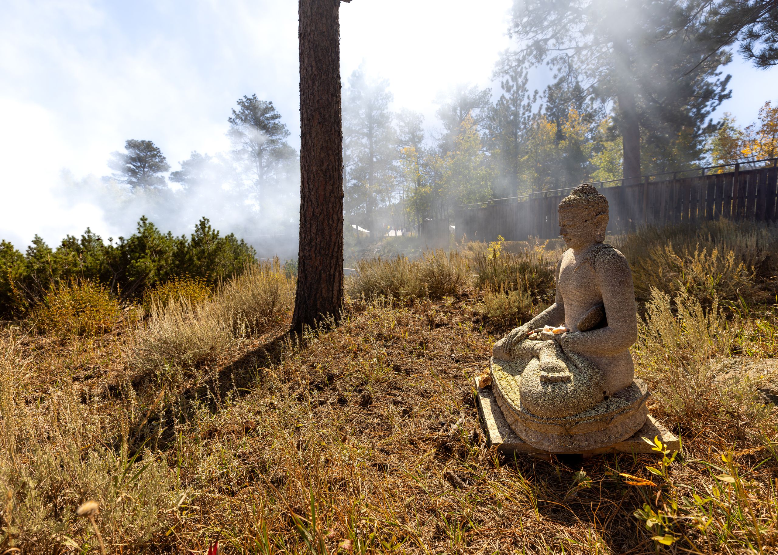 [LM226] The Living Mandala: A Tantric Journey of Creation and ...